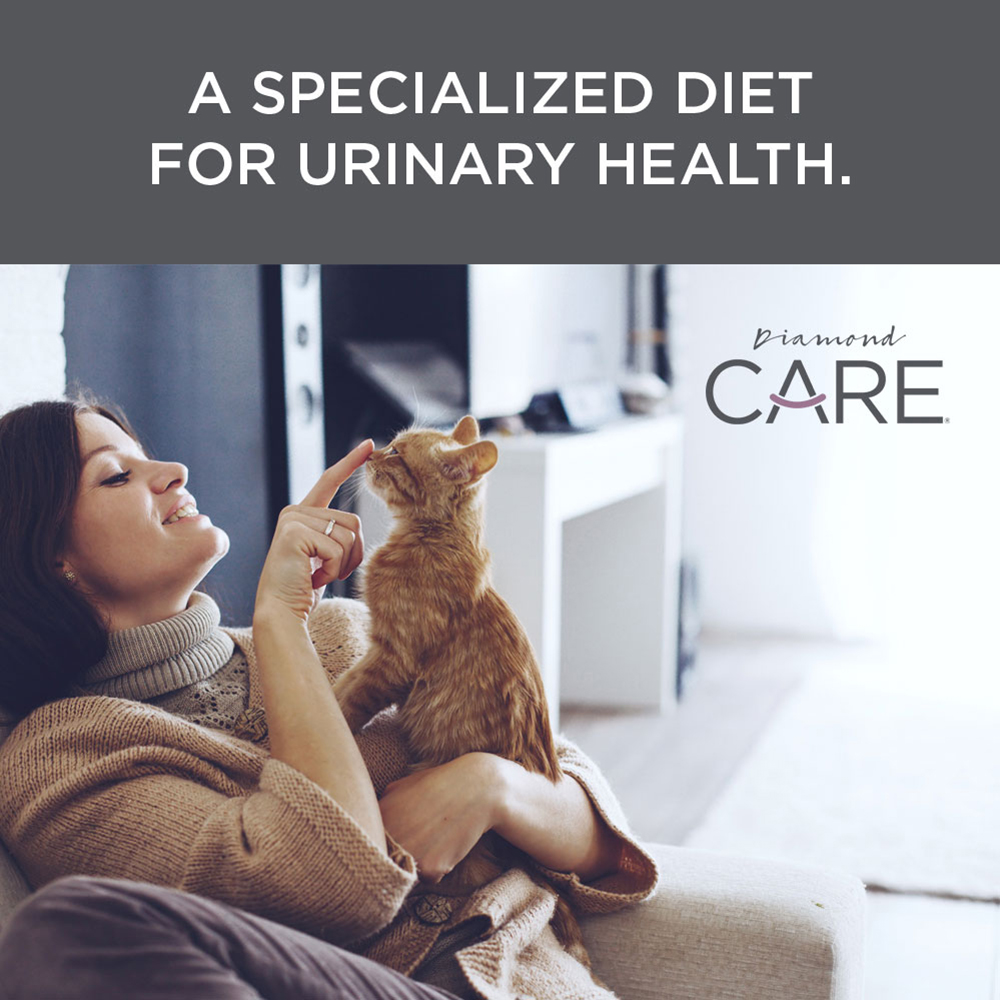DIAMOND CARE URINARY SUPPORT FORMULA (FOR ADULT CATS - 2.72 KG ...